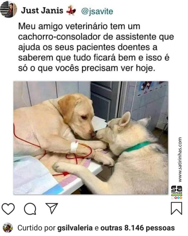 Imagens para inspirar e fazer rir - Interessante Saber